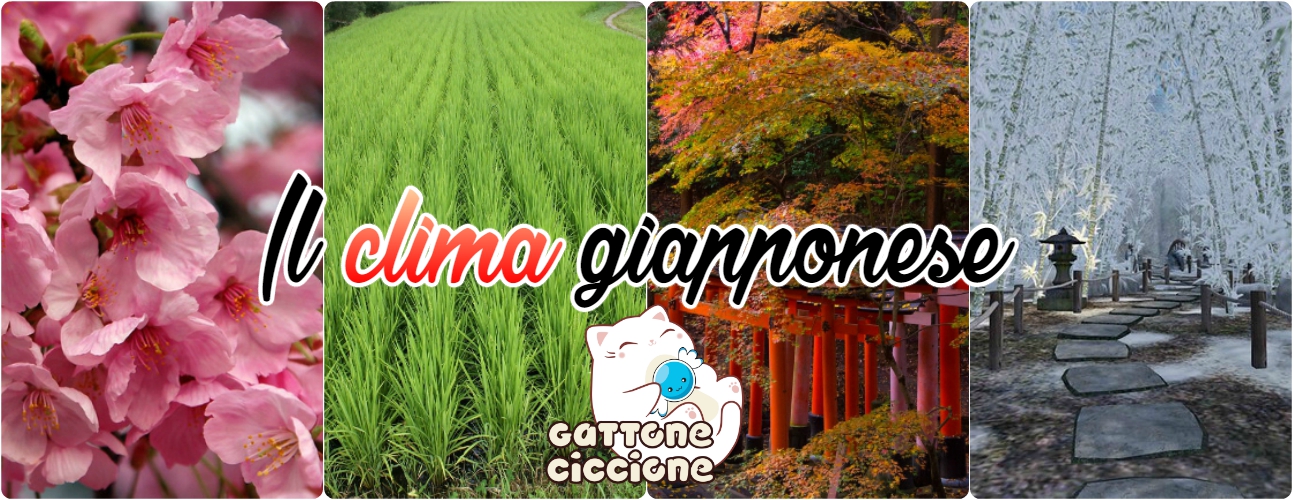 Il Clima del Giappone | spiegato facile-facile dal GattoneCiccione